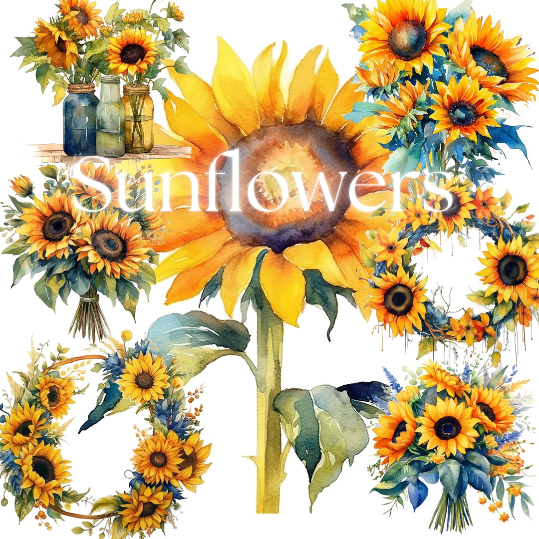 Sunflower Clipart Bundle, Watercolor Sunflowers PNG Format, PNG ...