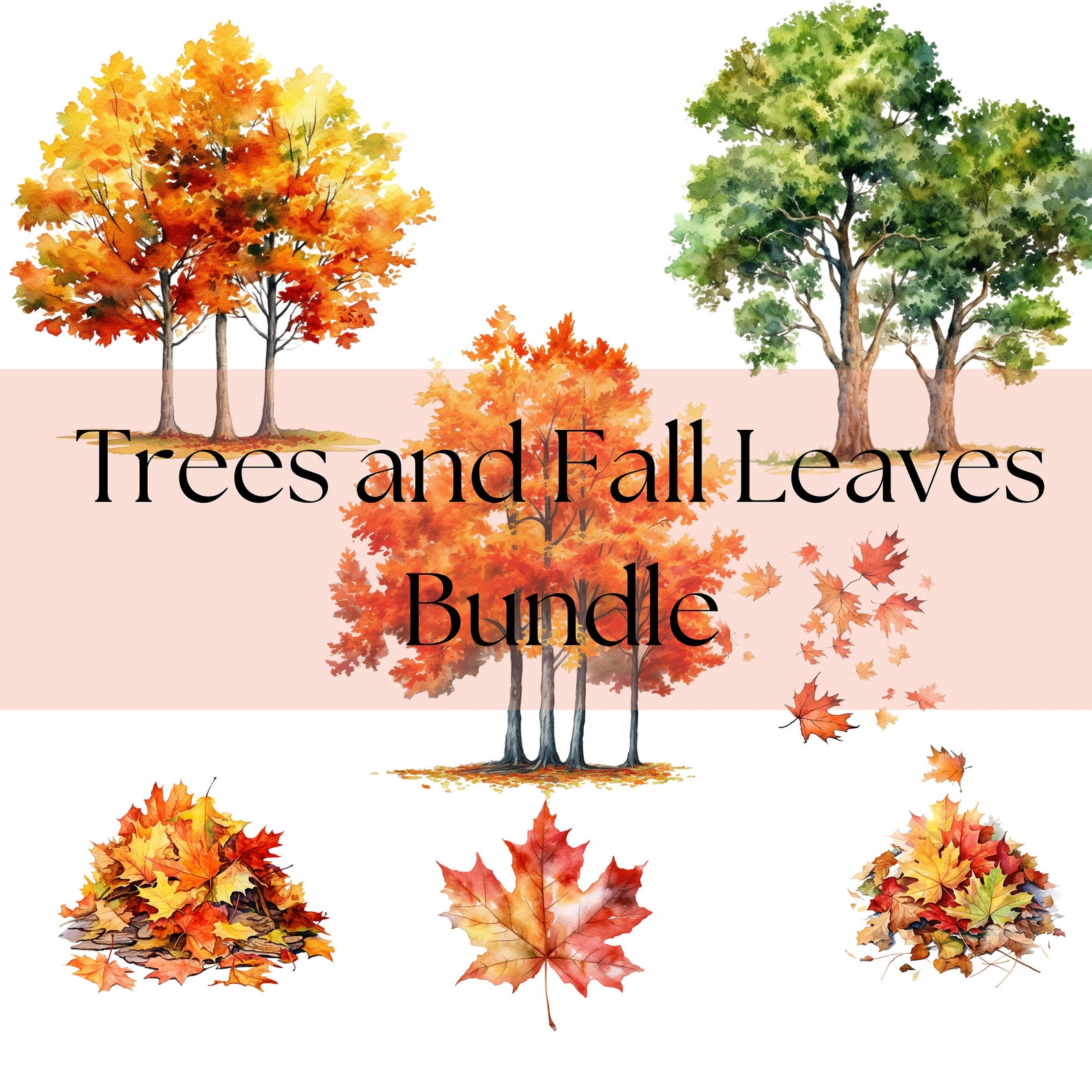 Tree and Leaves Png Clipart Trees Png Clipart Watercolor Png Leaves ...