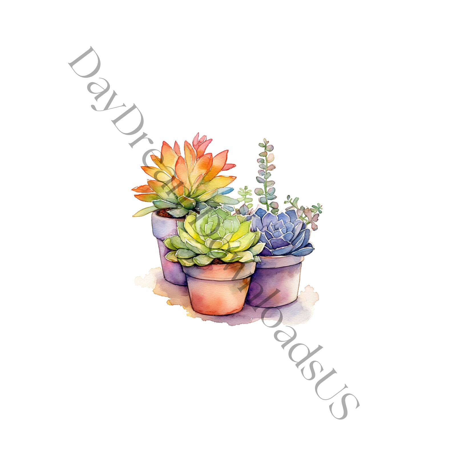Succulent PNG Clipart Bundle, Cacti Png Clipart, PNG Bundle, Succulent ...