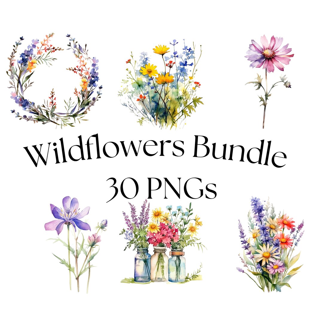 Watercolor Wildflower PNG Bundle, Clipart, Watercolor Clipart Bundle ...