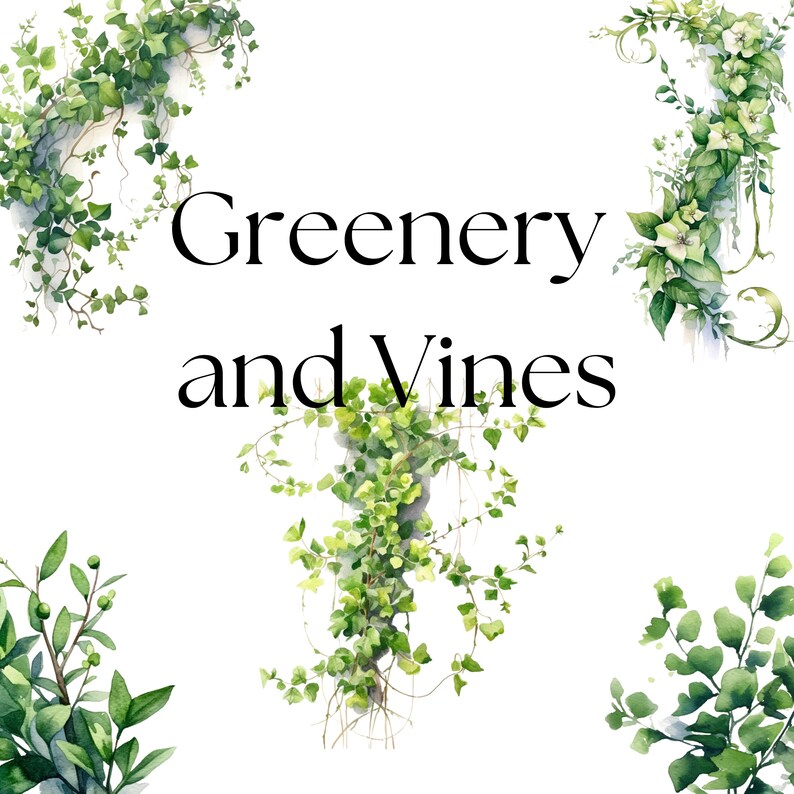 Greenery and Vines PNG Bundle, Greenery Clipart Bundle, Clipart ...