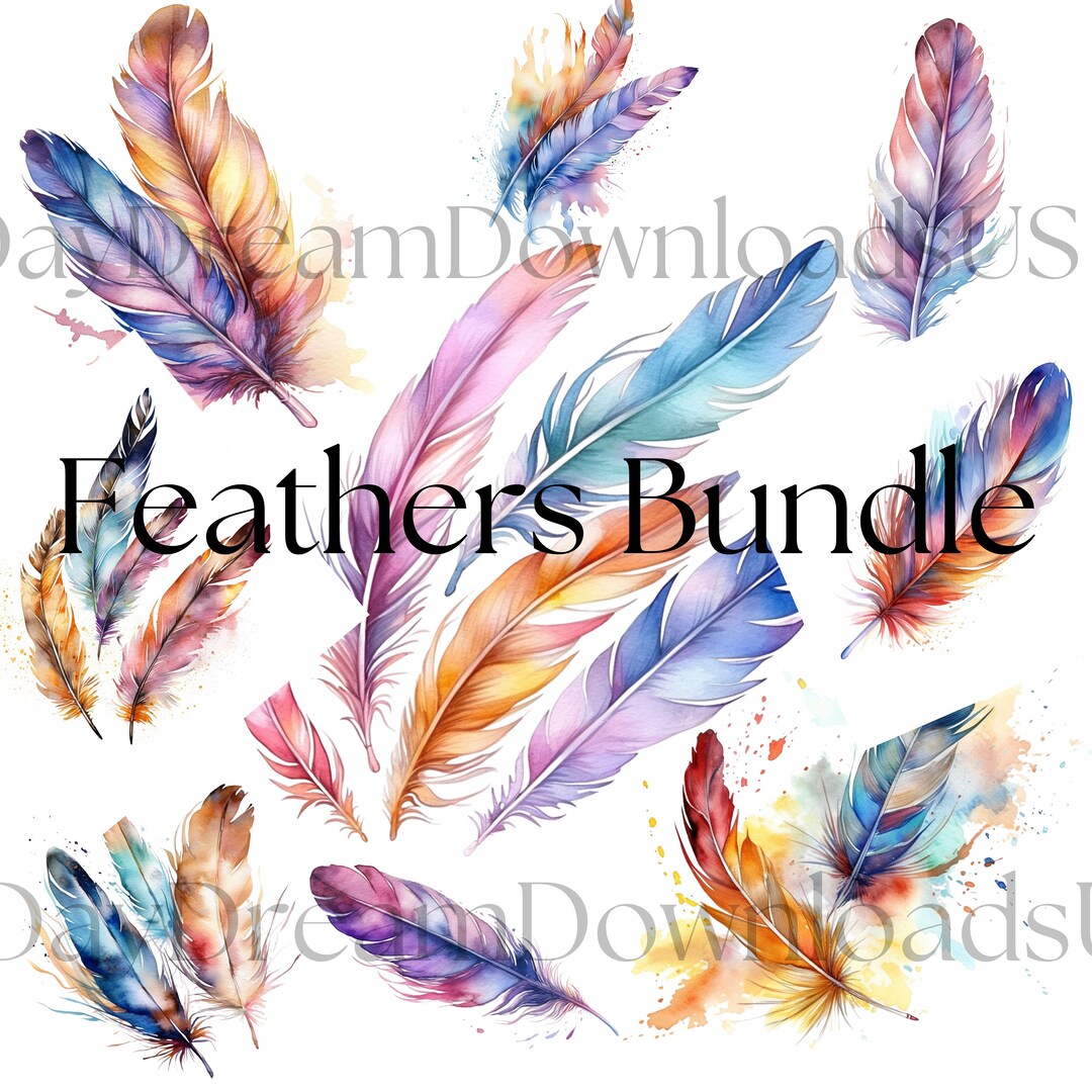 Watercolor Feathers PNG Bundle, Watercolor Clipart Bundle, Feather PNG ...