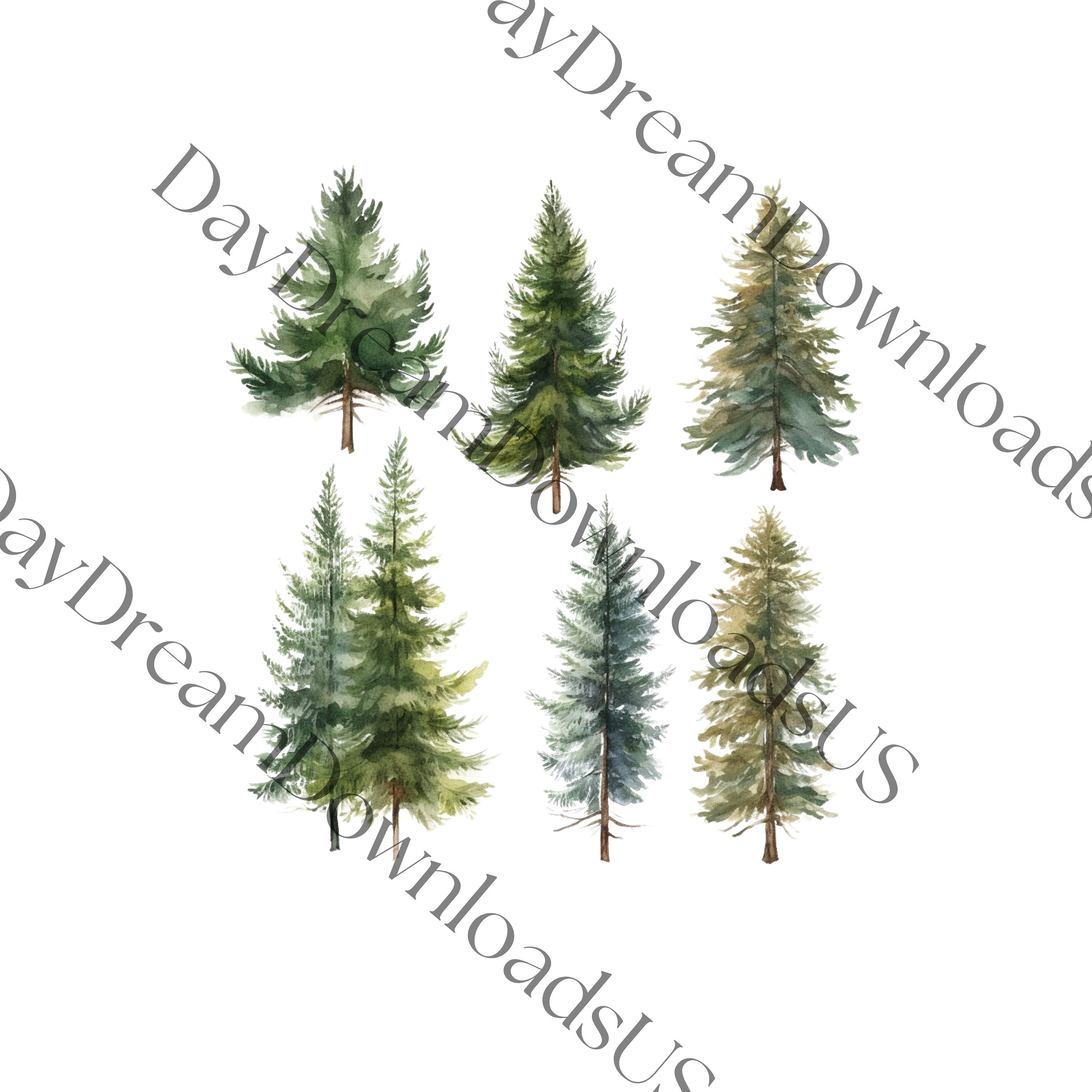 Watercolor Tree's PNG Bundle, Tree Clipart Bundle, Clipart Pngs - Etsy