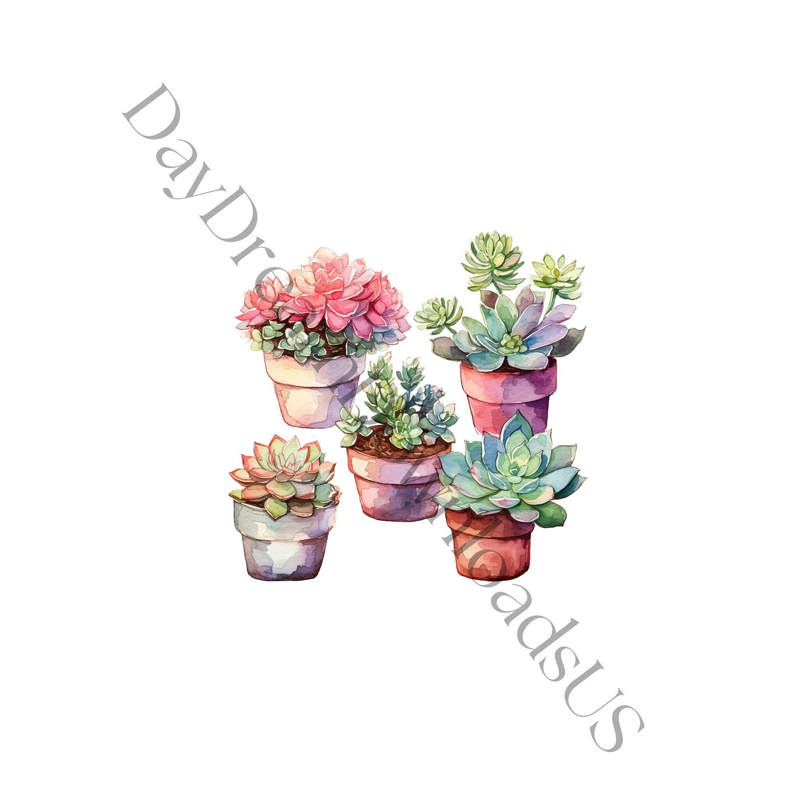 Succulent PNG Clipart Bundle, Cacti Png Clipart, PNG Bundle, Succulent ...