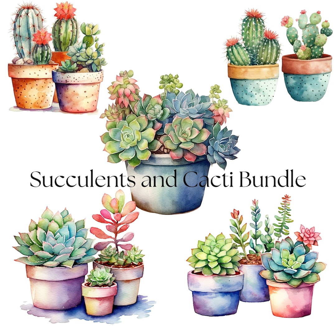 Succulent PNG Clipart Bundle, Cacti Png Clipart, PNG Bundle, Succulent ...