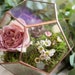Garden Roses Terrariums or Mini Gardens - Etsy