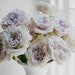 Deluxe Garden Roses Westminster Abbey in Silver - Etsy