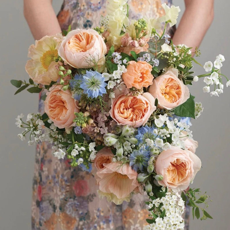 David Austin Roses - Etsy