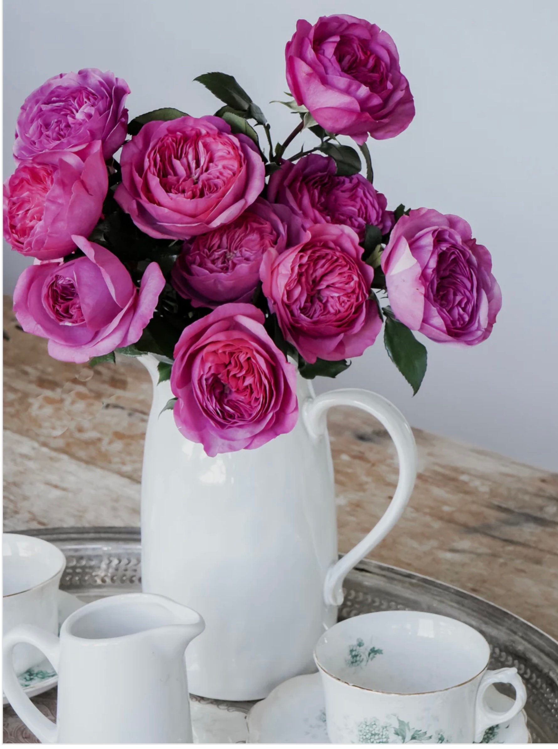 Deluxe & Princess Garden Roses Baronesse in Dark Pink - Etsy