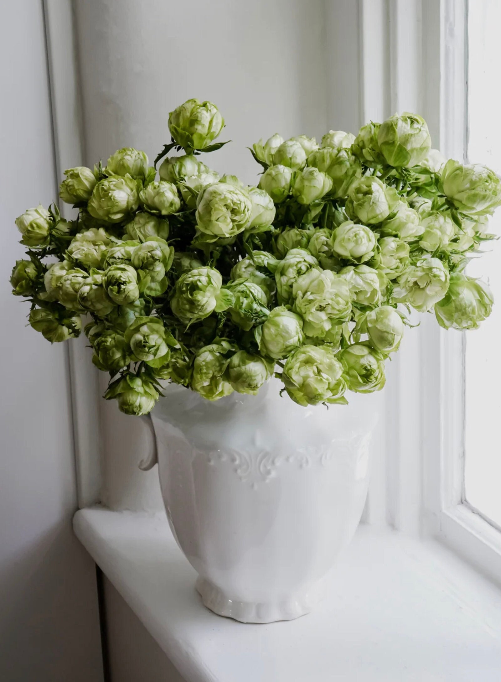 Deluxe & Princess Garden Roses Princess Midori Spray in Green - Etsy