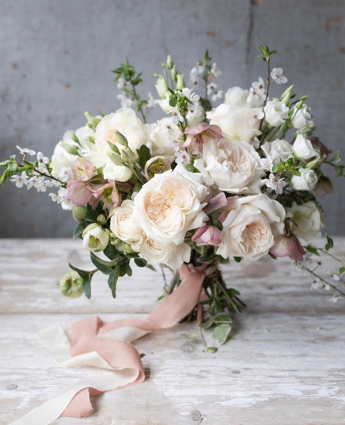 Deluxe Garden Roses - David Austin Garden Rose Purity - Etsy