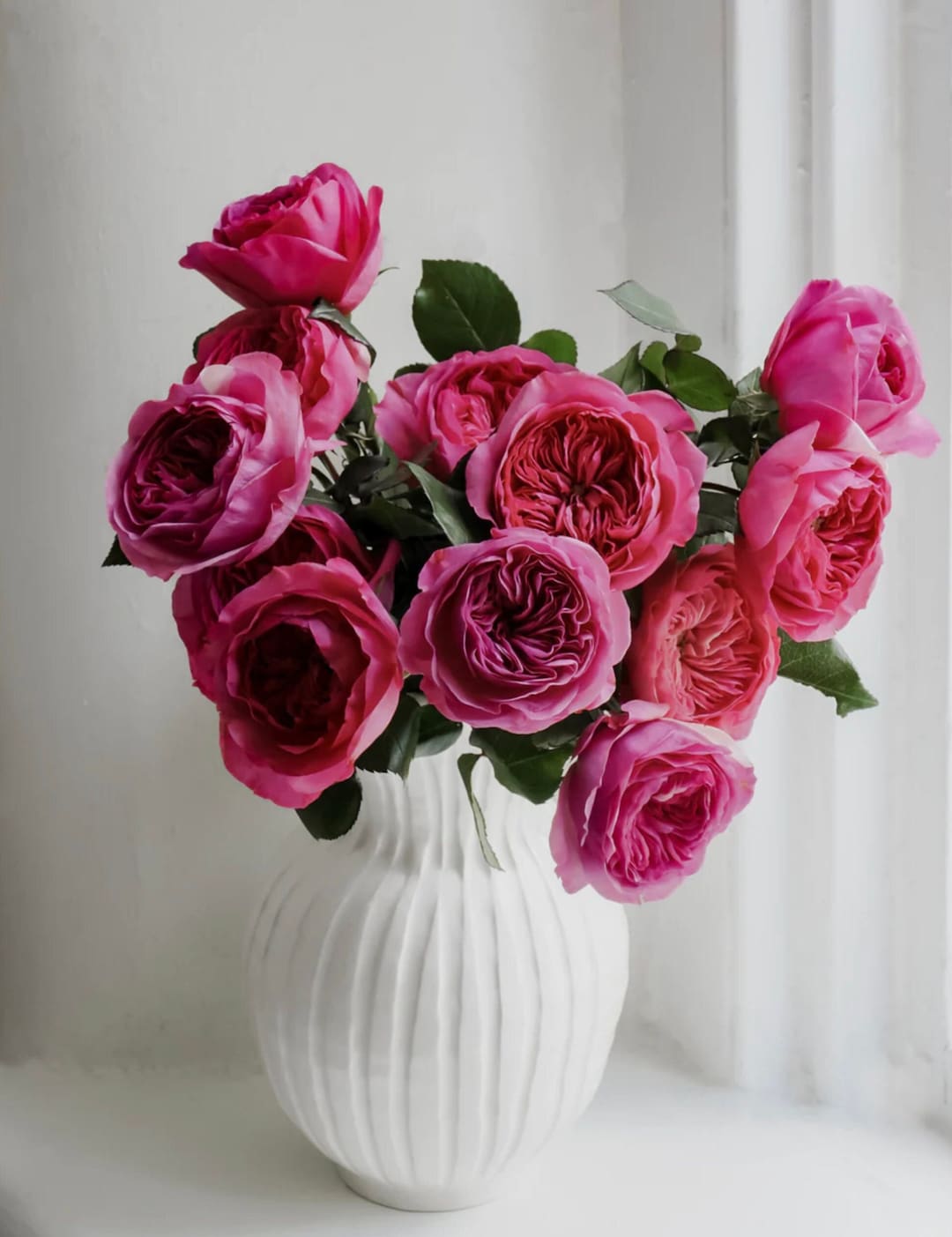 Deluxe & Princess Garden Roses Baronesse in Dark Pink - Etsy