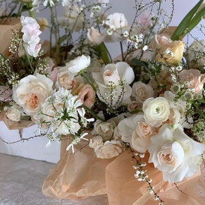 Deluxe Garden Roses - David Austin Garden Rose Purity - Etsy