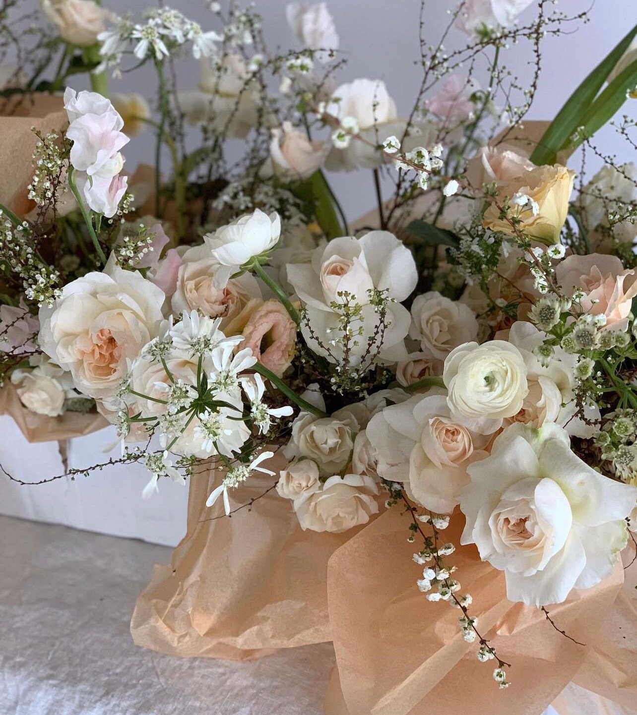 Deluxe Garden Roses - David Austin Garden Rose Purity - Etsy