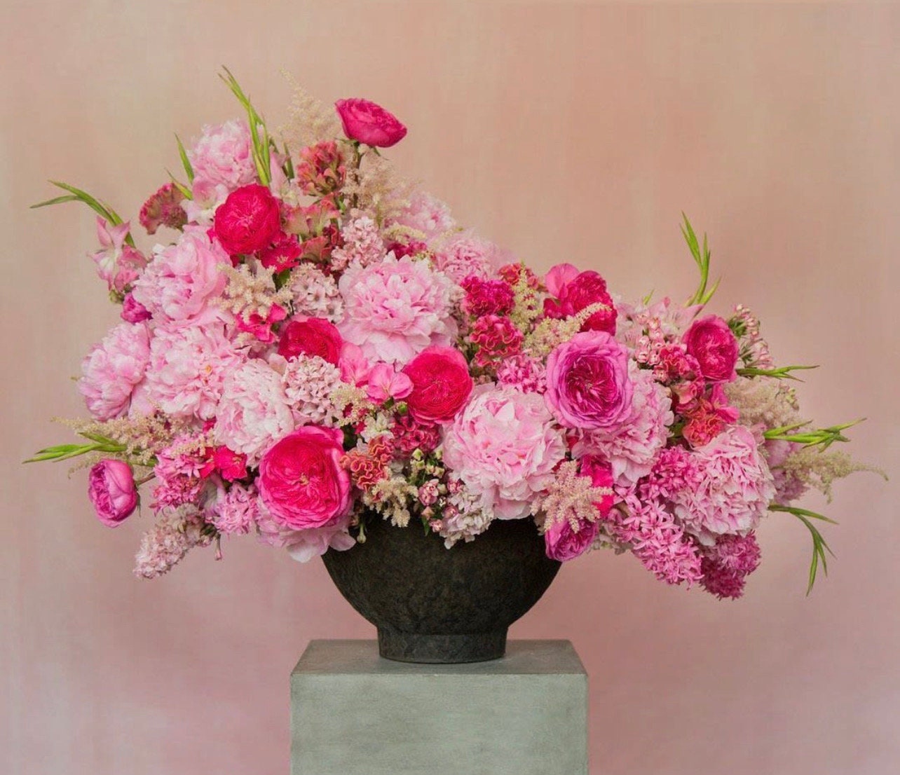 Deluxe & Princess Garden Roses - Baronesse in Dark Pink - Etsy