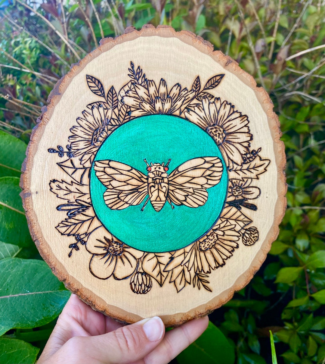 Cicada, Wood Burn Art, the Year of Cicadas 221 - Etsy