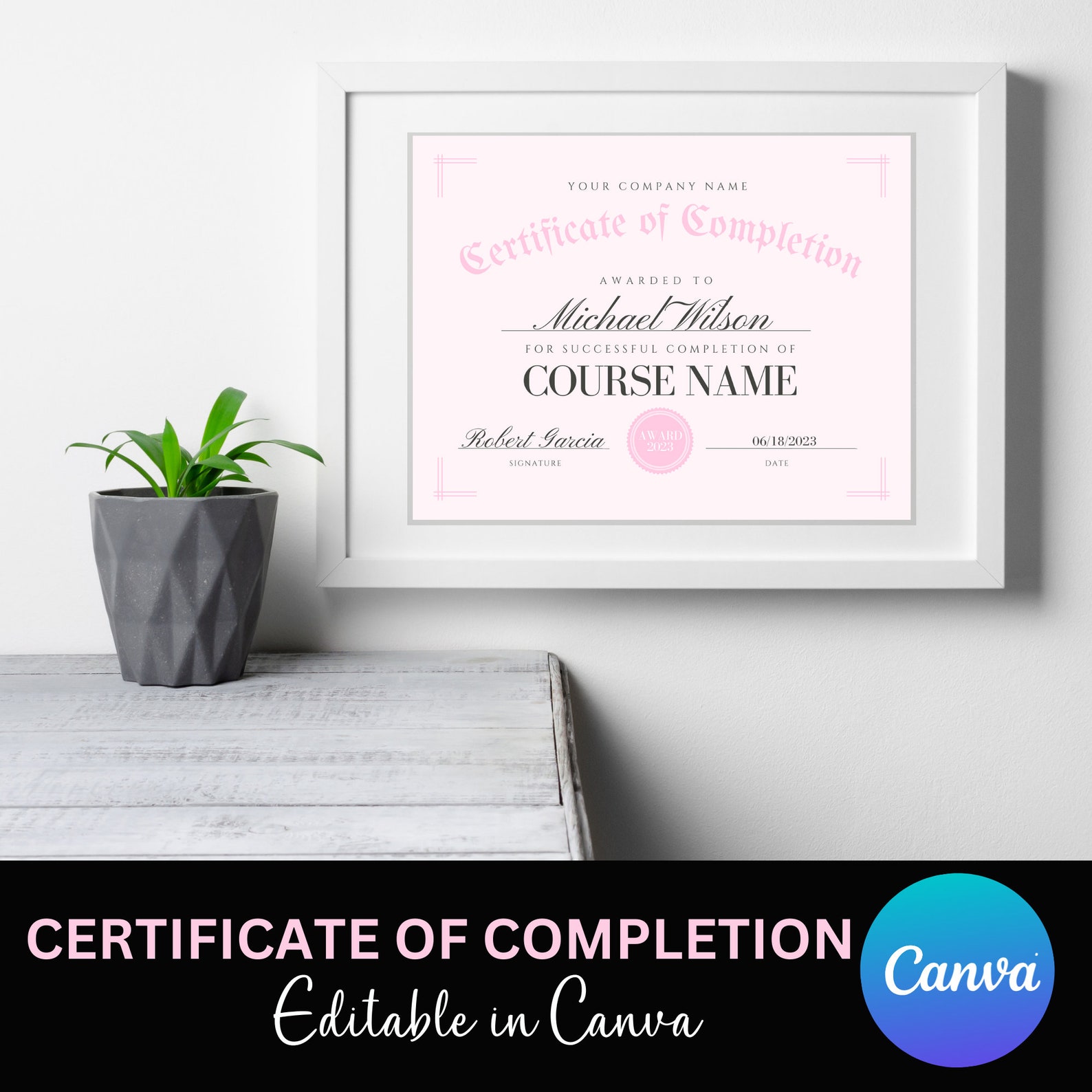 Printable Certificate of Completion Bundle | Editable Award & Training ...