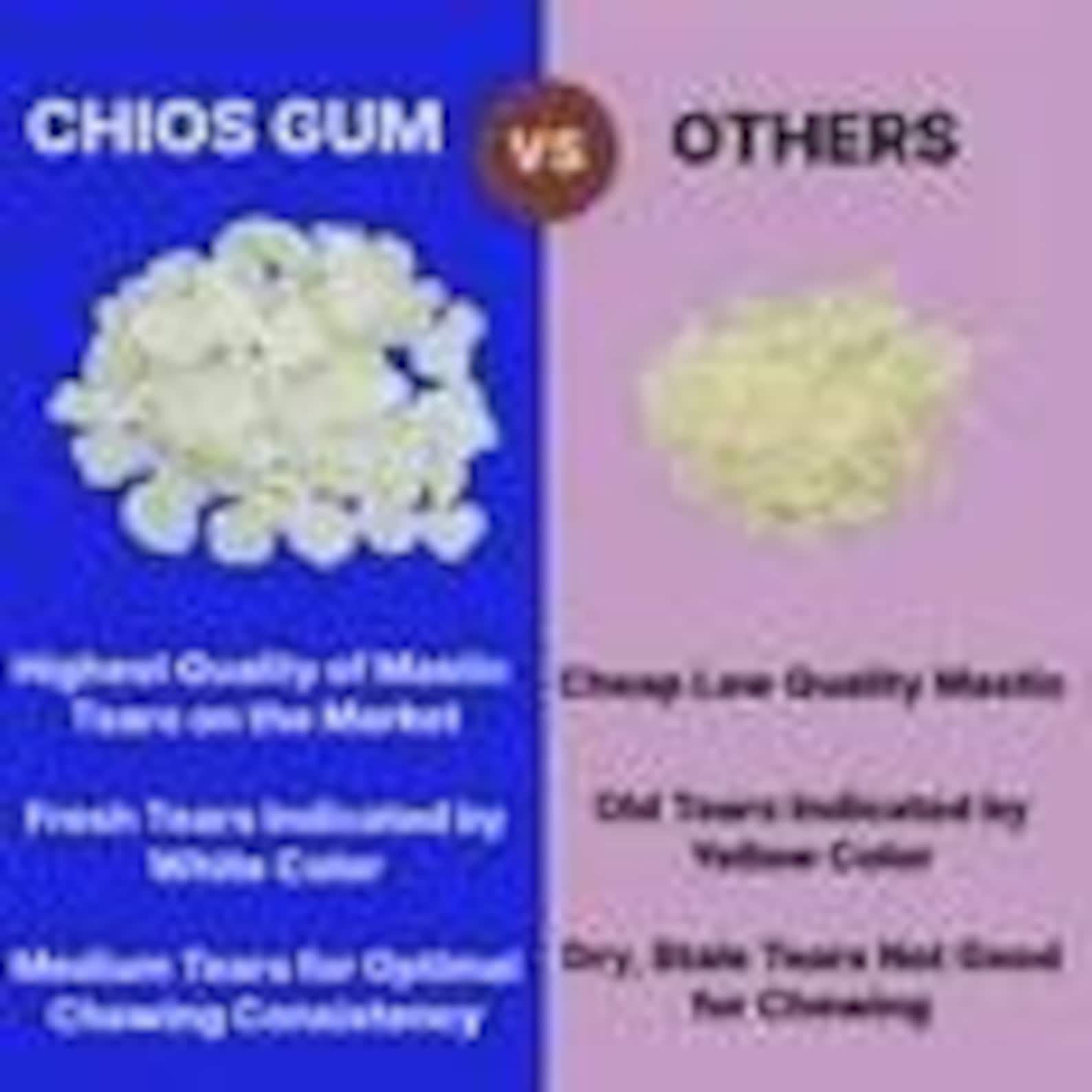 Chios Mastic Gum | 100% Natural, Authentic, Organic (10gr) - Etsy