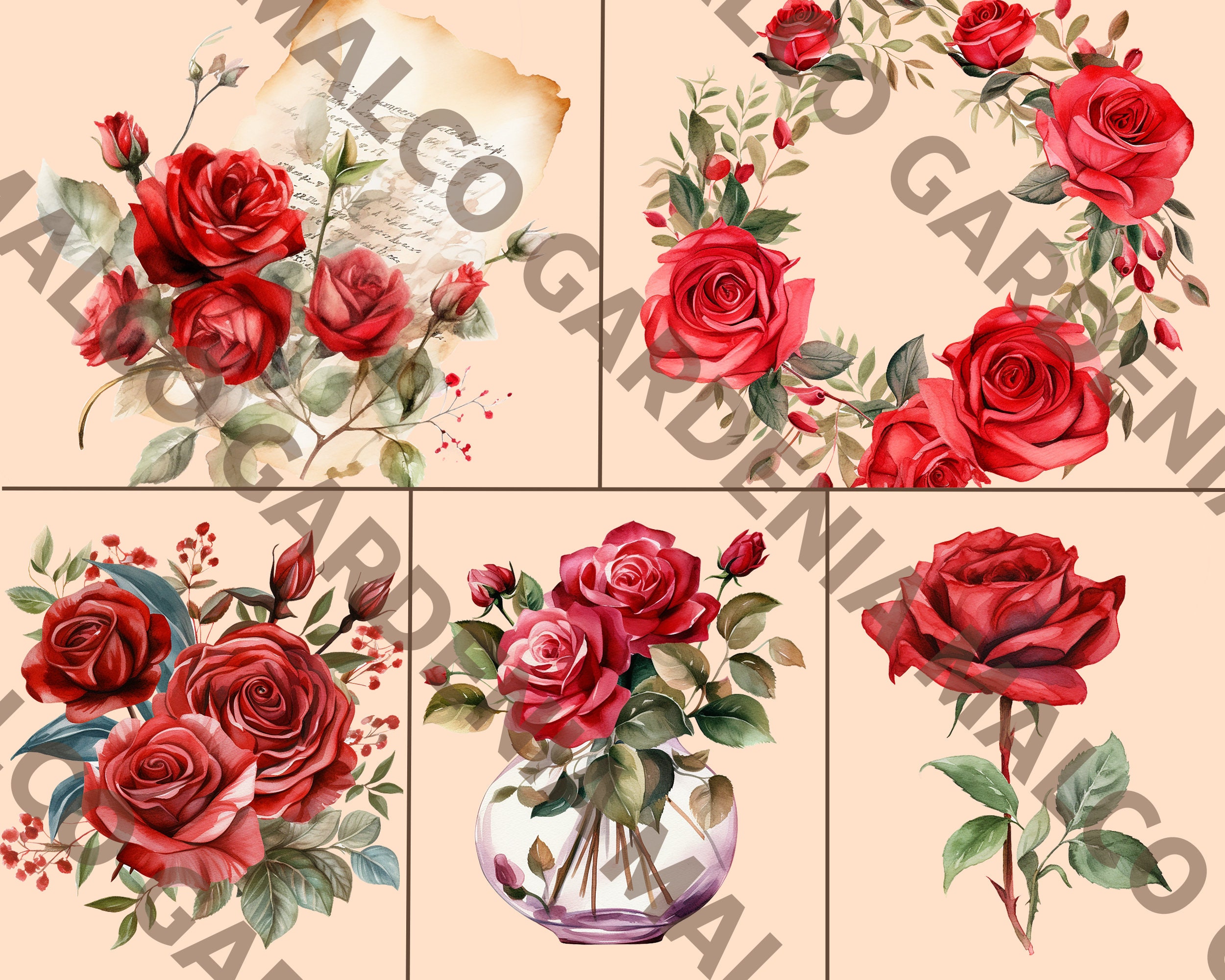 Watercolor Red Roses Clipart - Transparent Digital Png, Instant ...