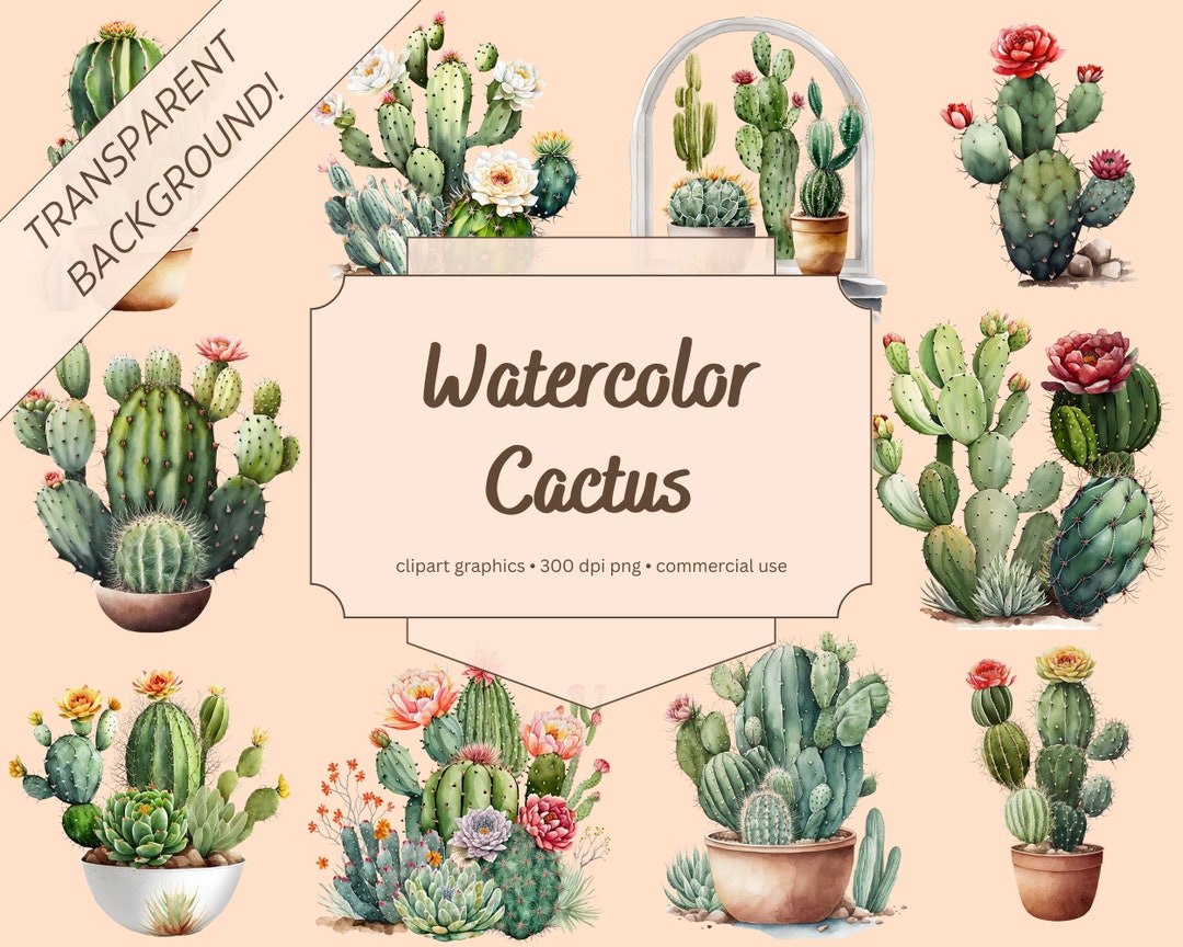 Watercolor Cactus Clipart - Transparent Digital Png, Instant ...