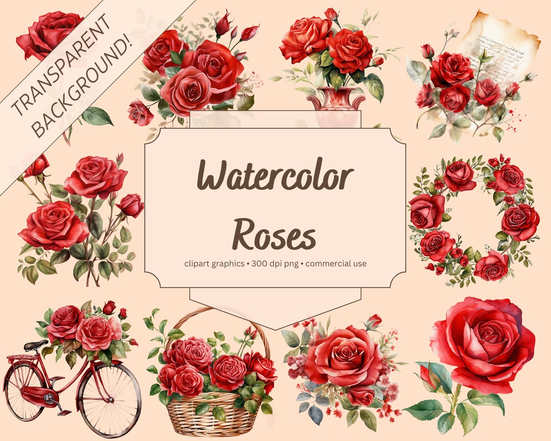 Watercolor Red Roses Clipart - Transparent Digital Png, Instant ...