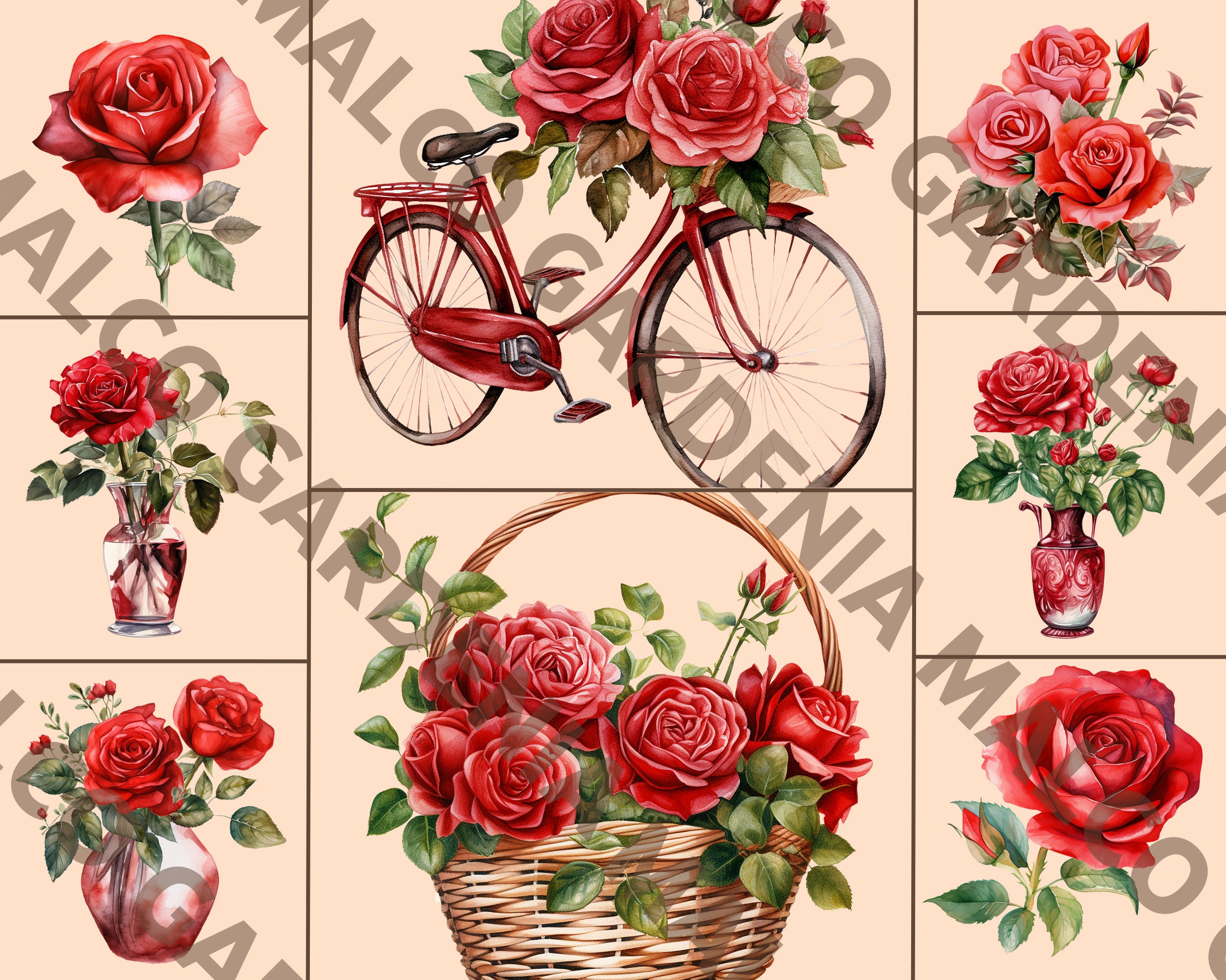 Watercolor Red Roses Clipart - Transparent Digital Png, Instant ...