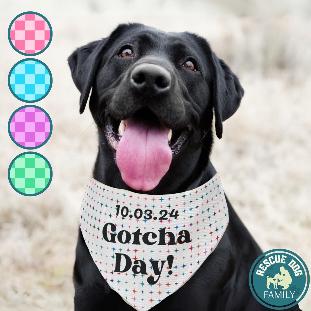Dogs Gotcha Day Bandana With Date, Personalized Adoption Day Gift ...