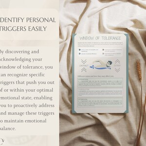 Zones of Regulation Coping Skills Emotional Regulation CBT PTSD Window ...