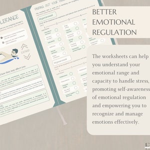 Zones of Regulation Coping Skills Emotional Regulation CBT PTSD Window ...