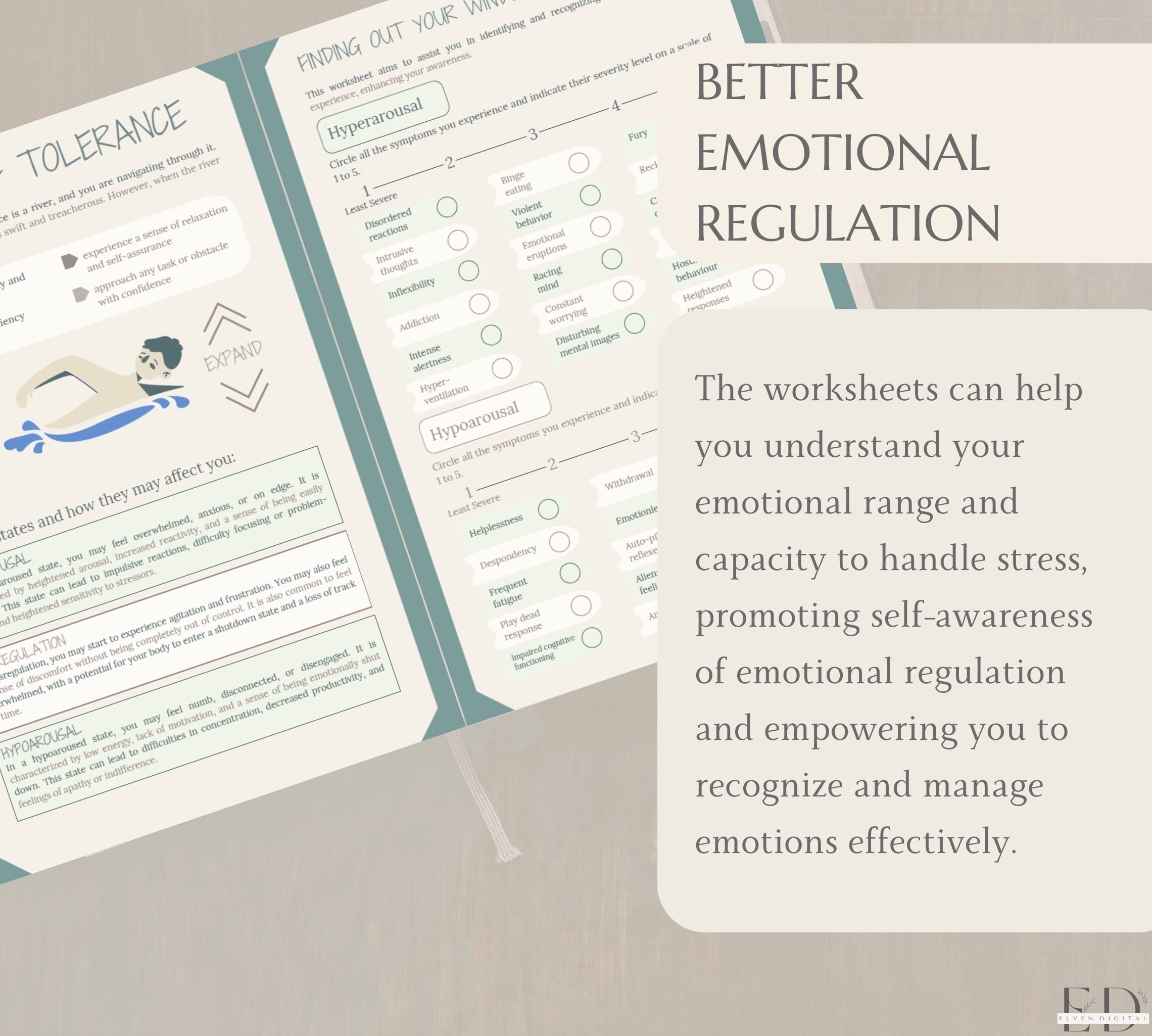 Zones of Regulation Coping Skills Emotional Regulation CBT PTSD Window ...