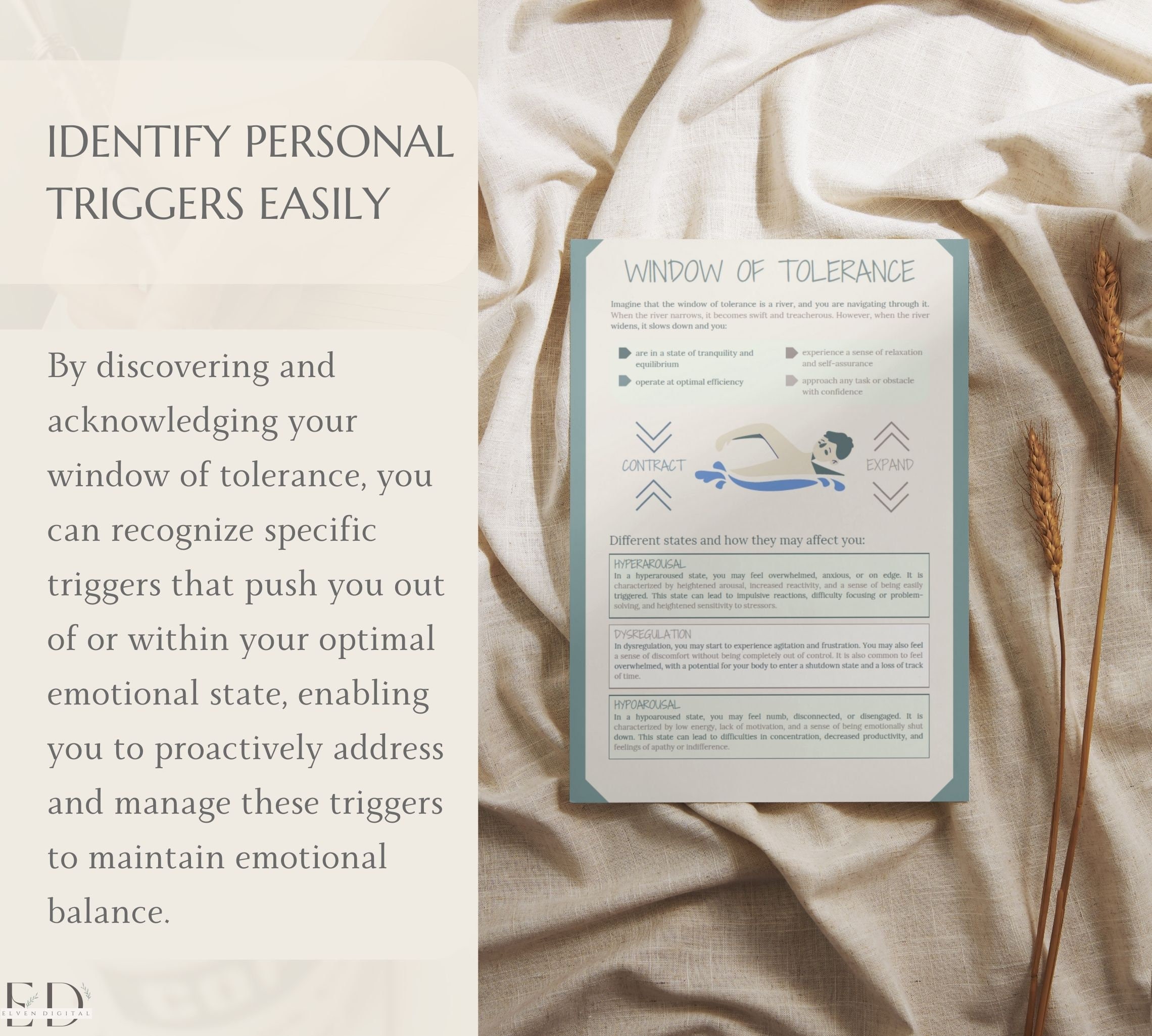 Zones of Regulation Coping Skills Emotional Regulation CBT PTSD Window ...