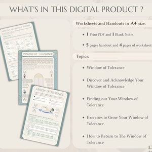 Zones of Regulation Coping Skills Emotional Regulation CBT PTSD Window ...