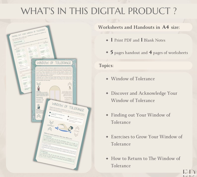 Zones of Regulation Coping Skills Emotional Regulation CBT PTSD Window ...