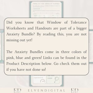 Zones of Regulation Coping Skills Emotional Regulation CBT PTSD Window ...