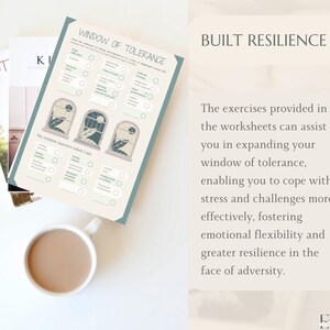 Zones of Regulation Coping Skills Emotional Regulation CBT PTSD Window ...