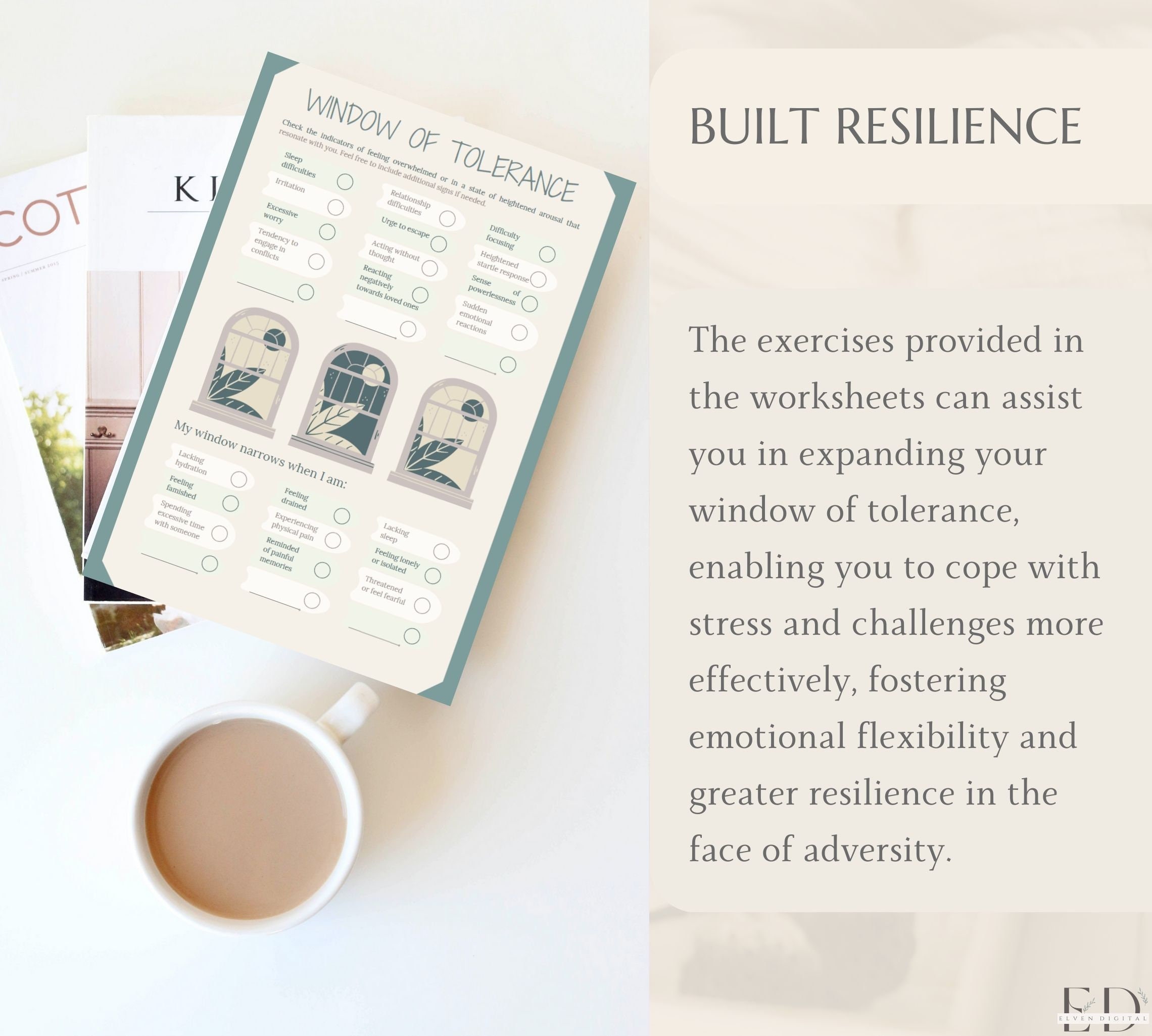 Zones of Regulation Coping Skills Emotional Regulation CBT PTSD Window ...