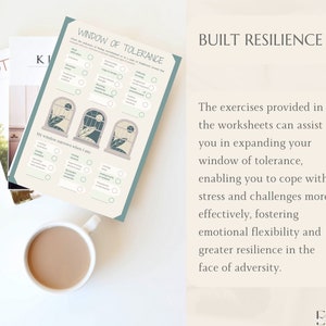 Zones of Regulation Coping Skills Emotional Regulation CBT PTSD Window ...