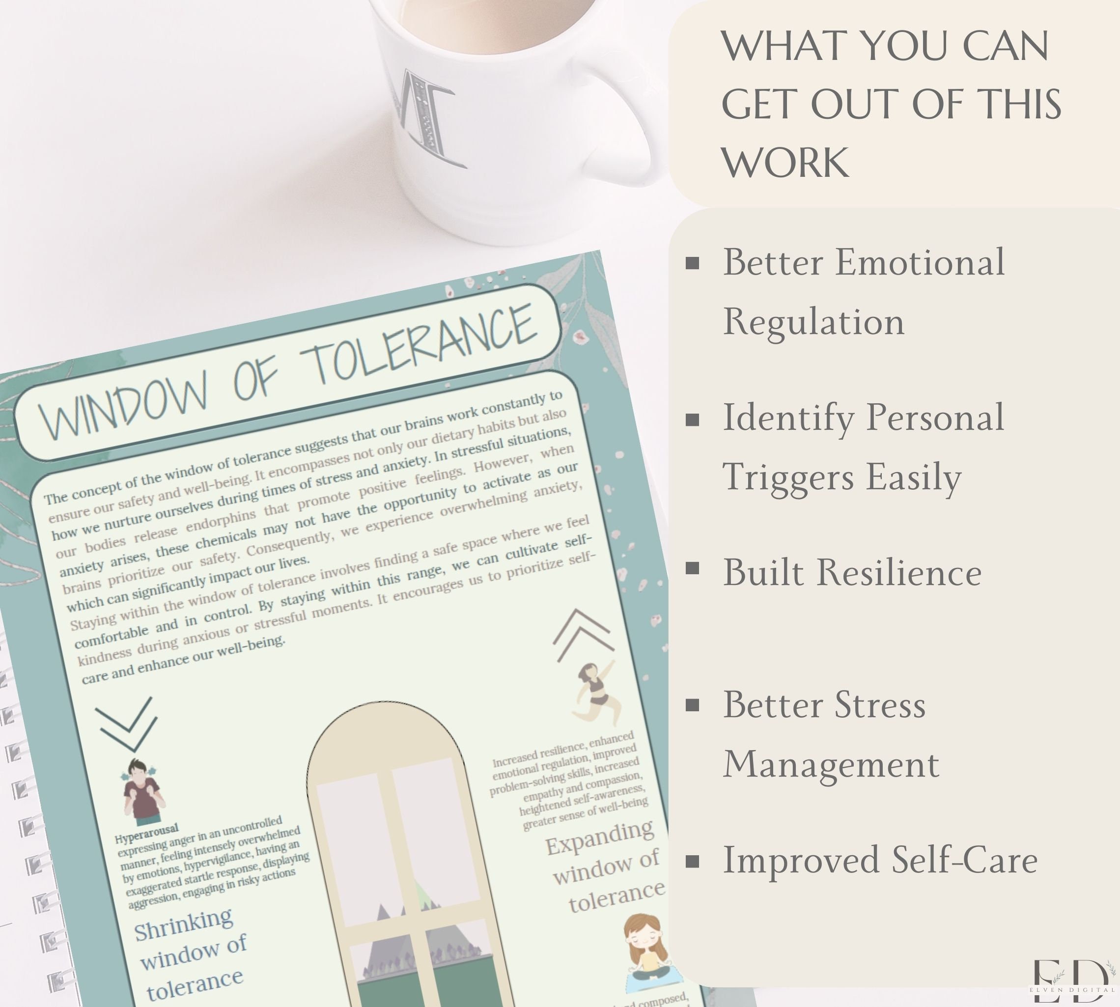 Zones of Regulation Coping Skills Emotional Regulation CBT PTSD Window ...