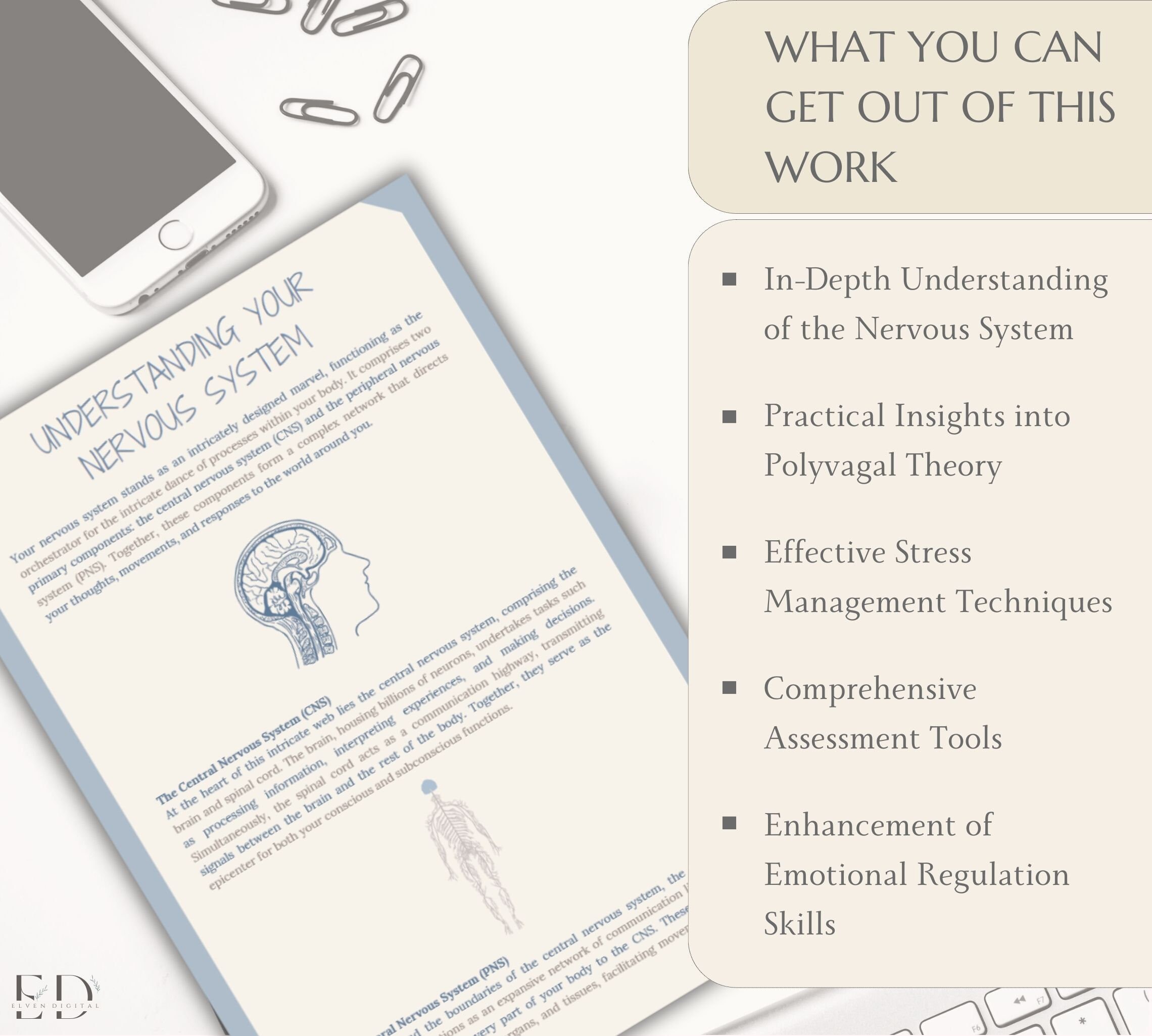 Nervous System Regulation Worksheets for Polyvagal Theory Nervous ...