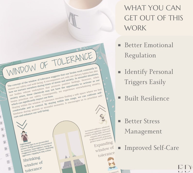 Zones of Regulation Coping Skills Emotional Regulation CBT PTSD Window ...