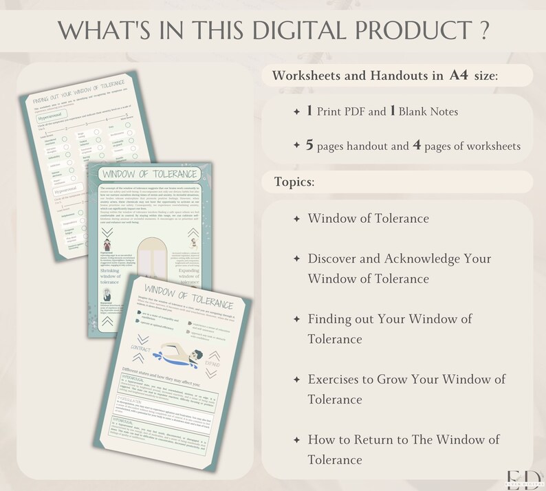 Zones of Regulation Coping Skills Emotional Regulation CBT PTSD Window ...