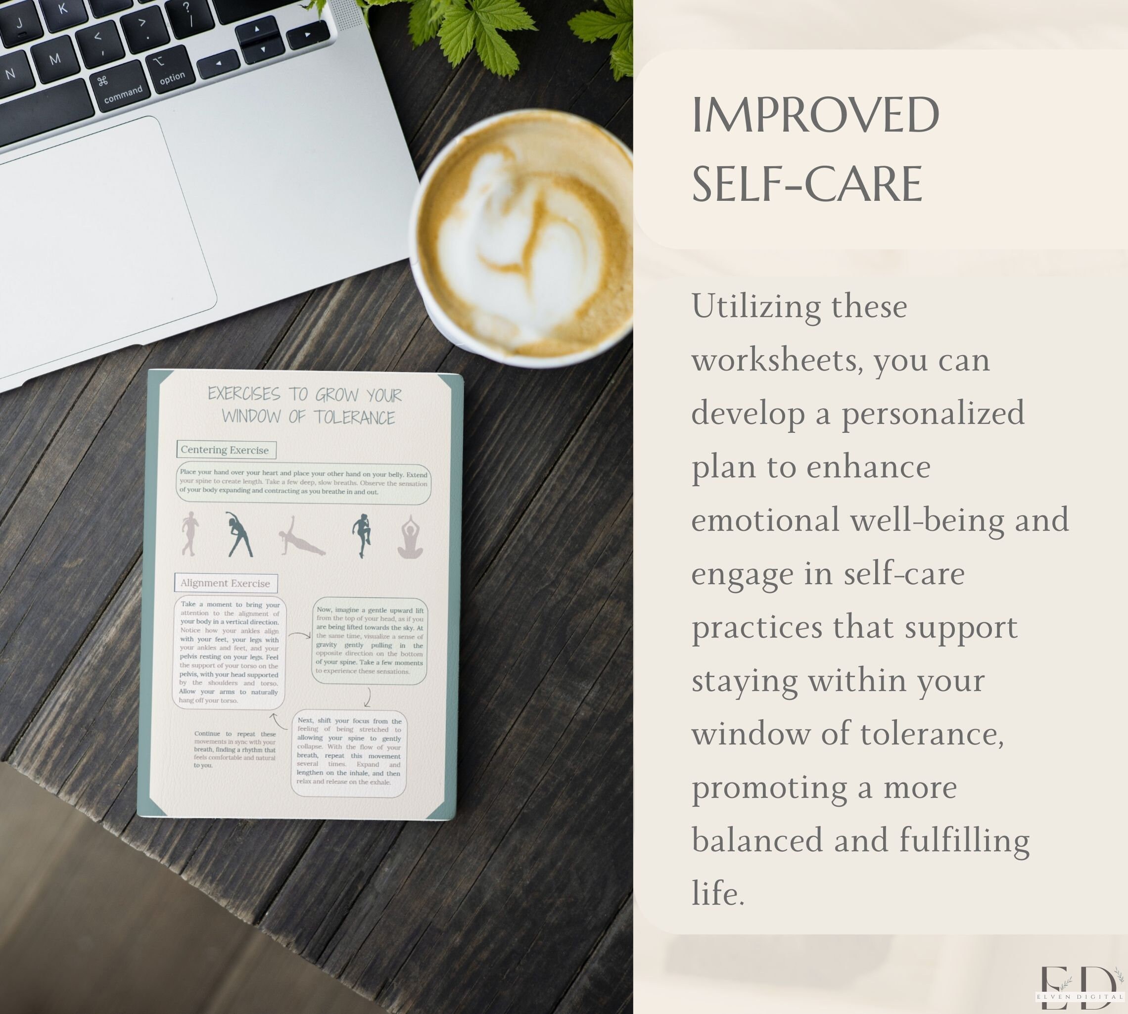 Zones of Regulation Coping Skills Emotional Regulation CBT PTSD Window ...