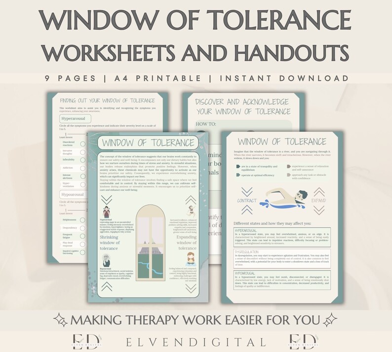 Zones of Regulation Coping Skills Emotional Regulation CBT PTSD Window ...