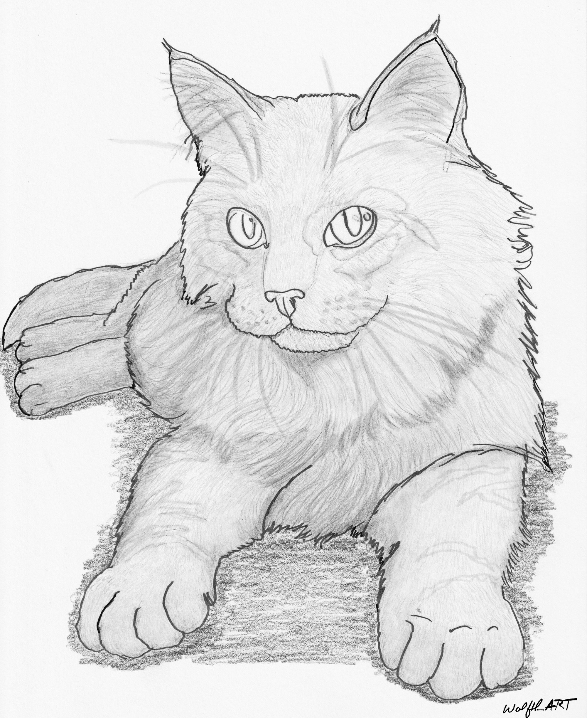 5 Digital Instant Download Greyscale Coloring Pages: Fluffy CATS 8.5x11 ...