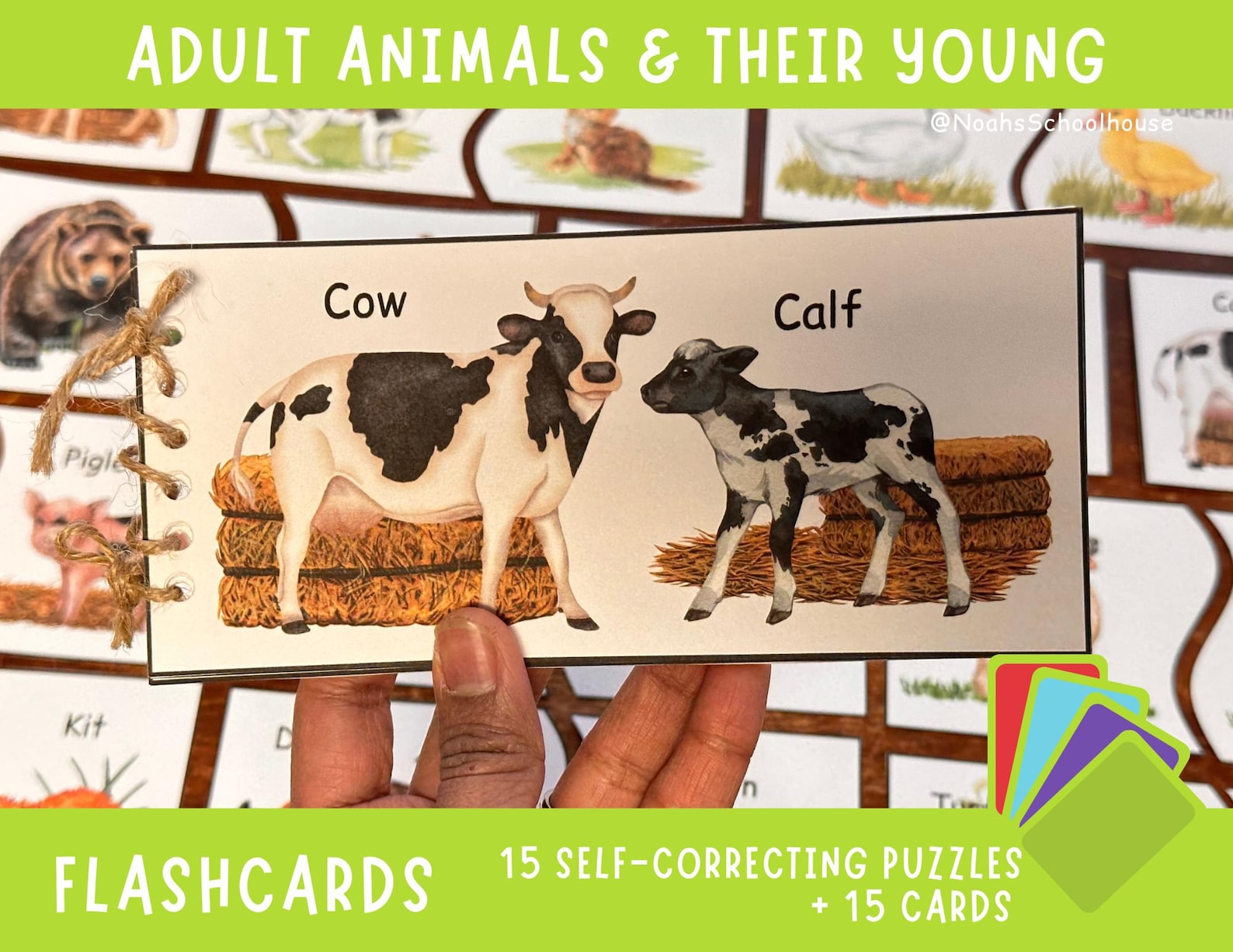 Printable Adult Animals and Their Young Flashcards | Matching Activity ...