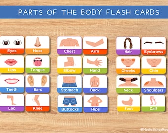 Printable Human Body Parts Anatomy Flashcards Homeschool Toddler ...