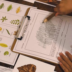 Printable Leaf Unit Study | Nature Study | Kids Botany | Homeschool - Etsy