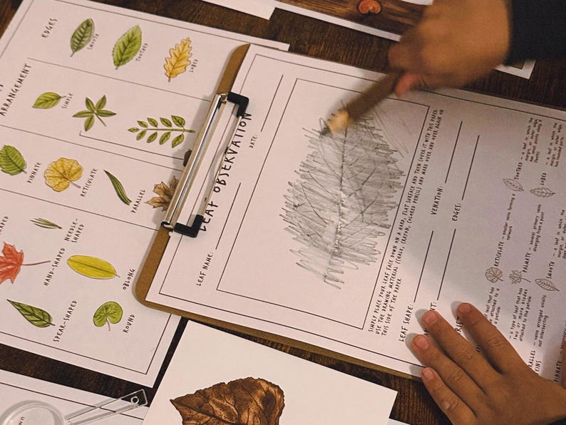Printable Leaf Unit Study Nature Study Kids Botany Homeschool - Etsy
