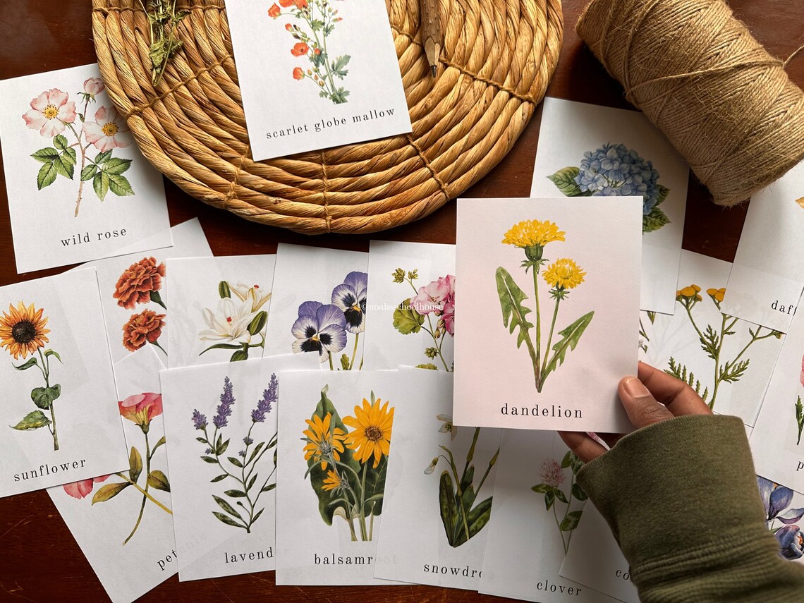 Printable Flower Identification Flashcards Watercolor Flower ID Cards ...