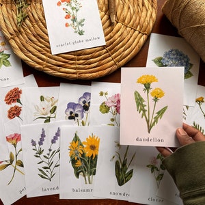 Printable Flower Identification Flashcards | Watercolor Flower ID Cards ...